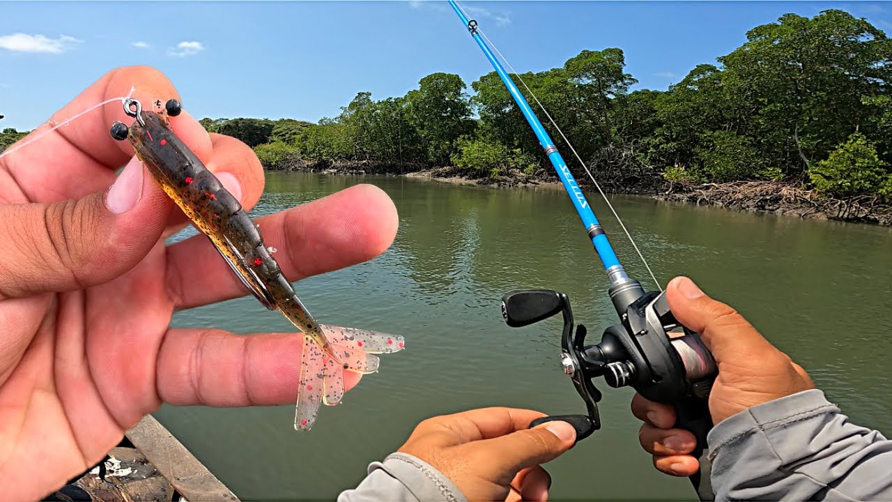 PEGAMOS MUITOS PEIXES NO MANGUE! PESCARIA COM CAMARÃO ARTIFICIAL E ...