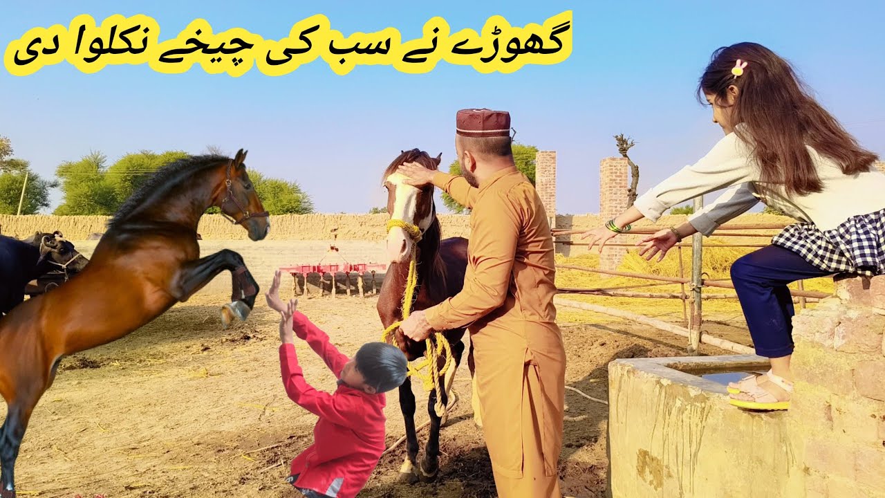 ghory se dar kar sab ki chekhain nikalin || zampetvlog - YouTube