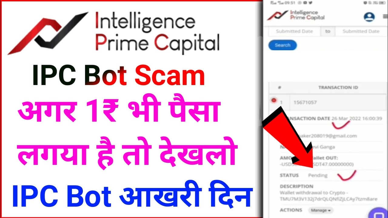intelligence prime capital:Not working|ipc bot real and scam|ipc bot trading|ipc bot|ipc review ...