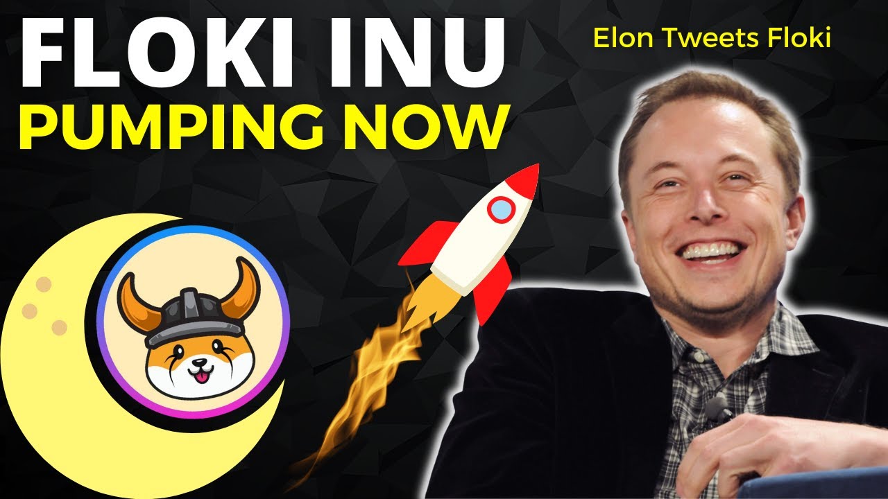 FLOKI PUMPING to the moon - Here's What Elon Musk Just Said About Floki ...