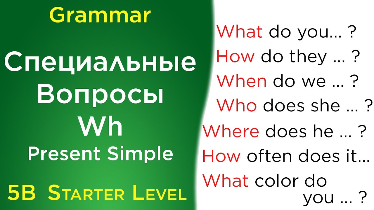 5B_Специальные Вопросы - Wh Questions Present Simple - YouTube