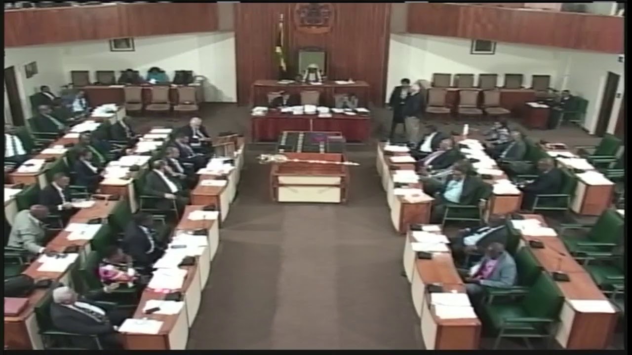 Sitting of the House of Representatives - September 17, 2019 - YouTube