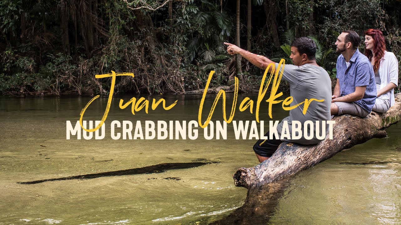 Mud Crabbing on Walkabout with Juan Walker| LIVE from Aus, Cooya Beach ...
