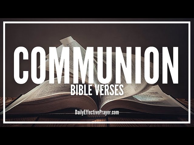 Communion Scriptures In The Bible Search The Scriptures | Daily