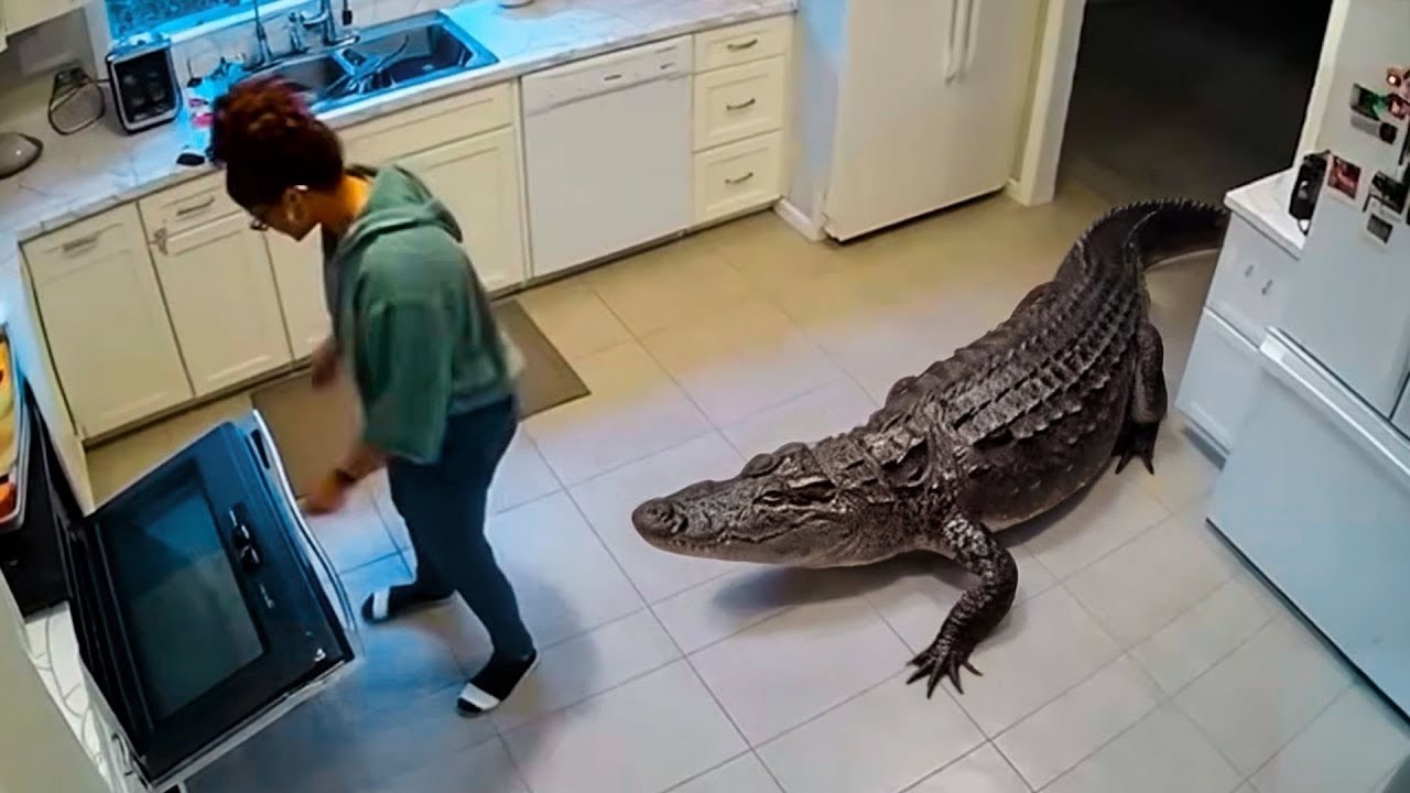 Impossible Moments Captured on Film – Mind-Blowing! - YouTube