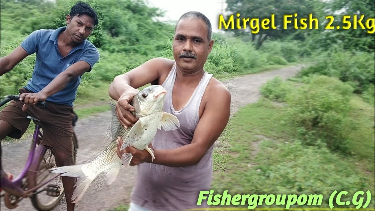 Hunted Big Mirgel Fish of 2.5Kg By Fisher Group Om (CG) - YouTube