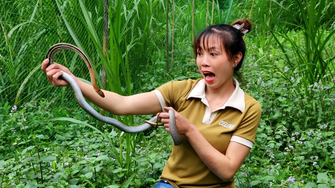 Harvest Green Vegetables For Sale - Detecting SNAKES Attacks On The Farm - Green Life - YouTube