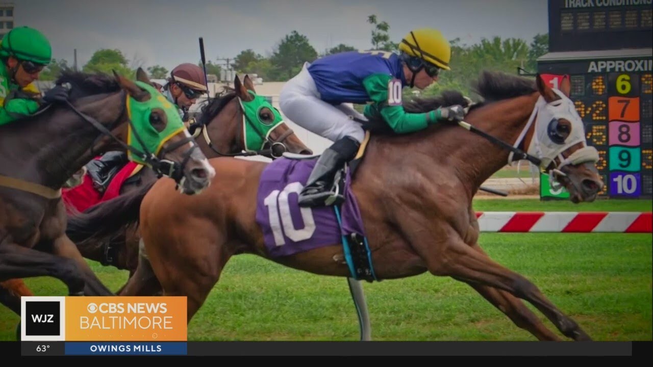 Jockey Forest Boyce, "Queen of Maryland," shines in the male-dominated ...