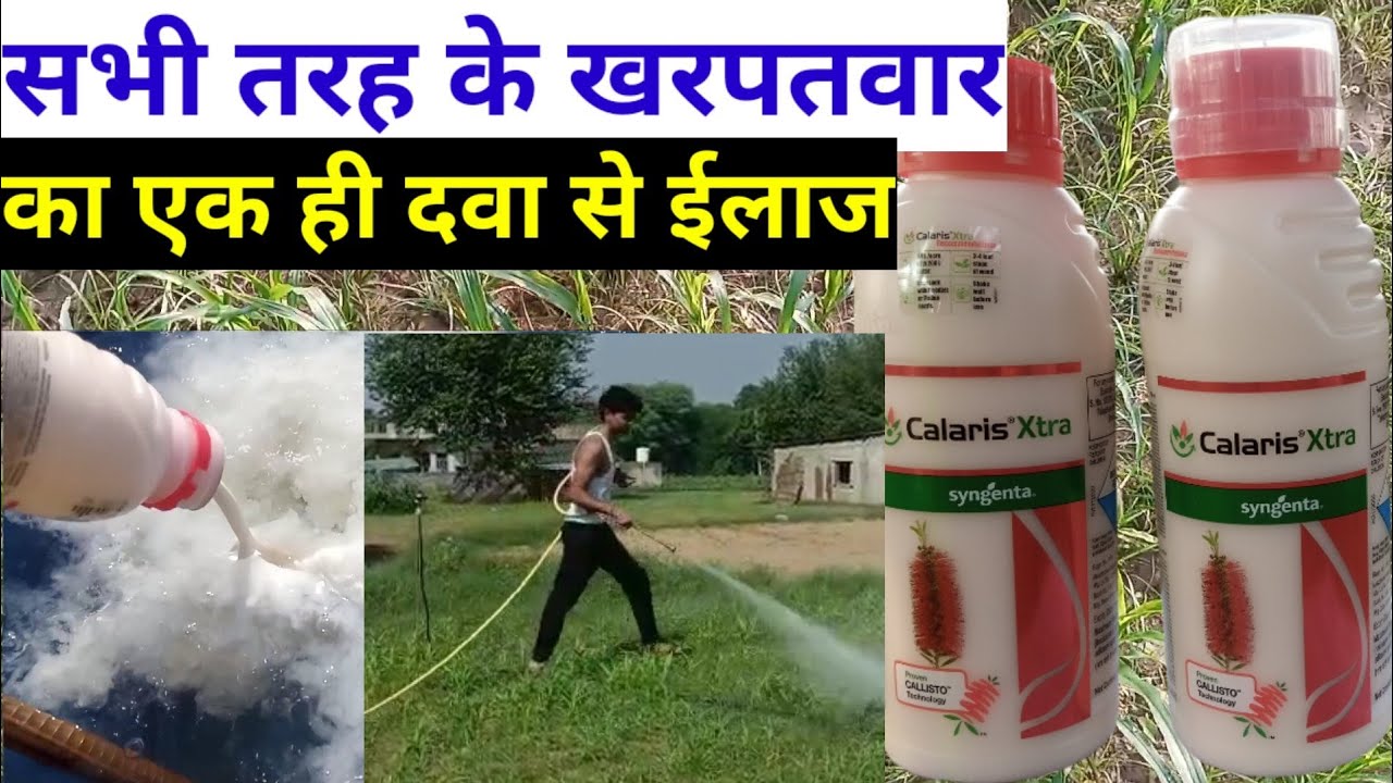 syngenta calaris xtra herbicides - YouTube