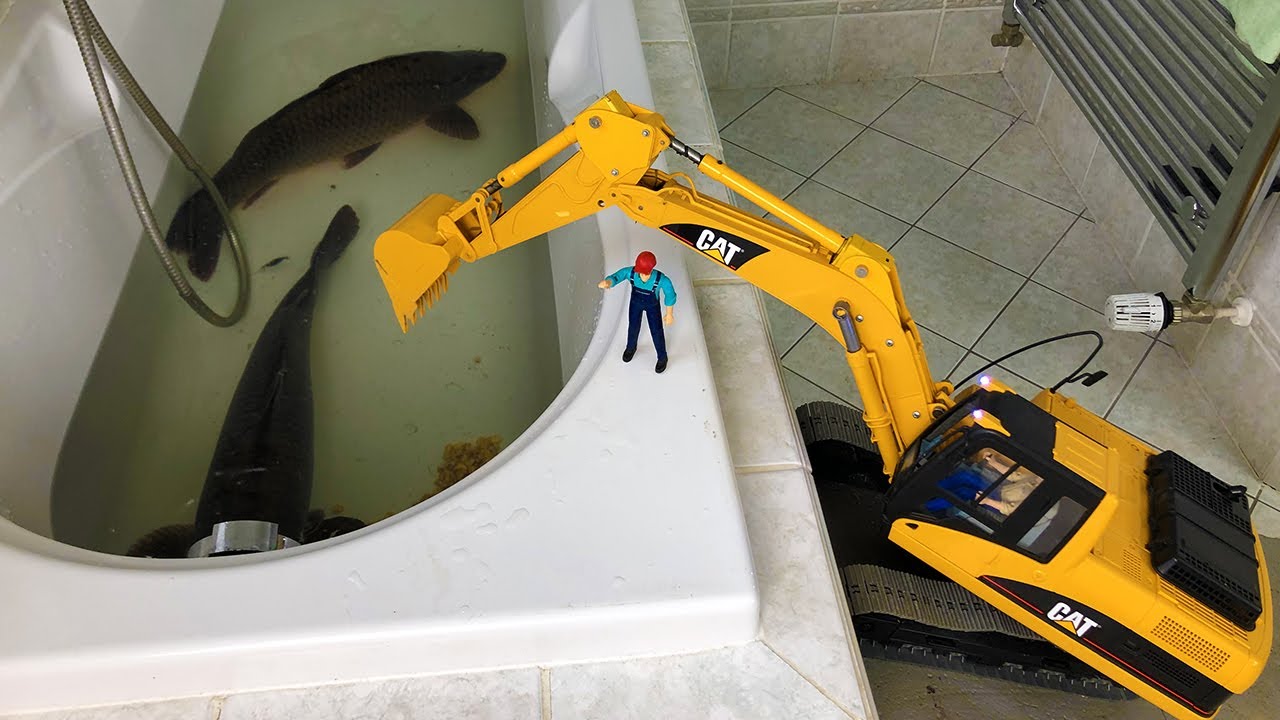 Excavator feeding fish! - YouTube