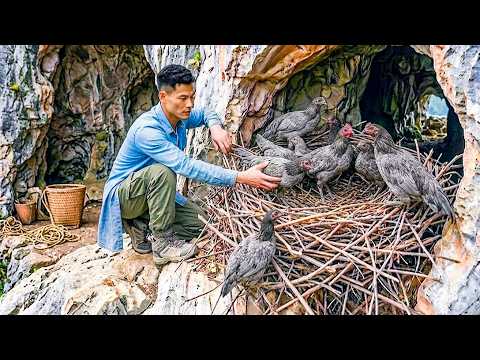 Auf den Berg gehen, viele junge Kampfhühner fangen und ein Hundehaus fertig bauen – Landleben