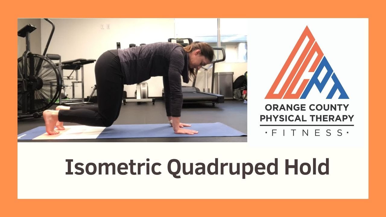 Isometric Quadruped Hold (Orange County Physical Therapy OCPT) - YouTube