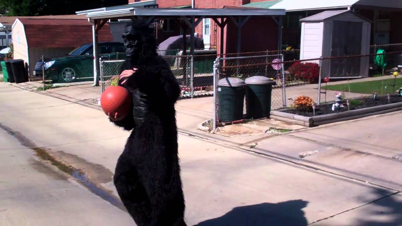 Gorilla dunks on 10' hoop - YouTube