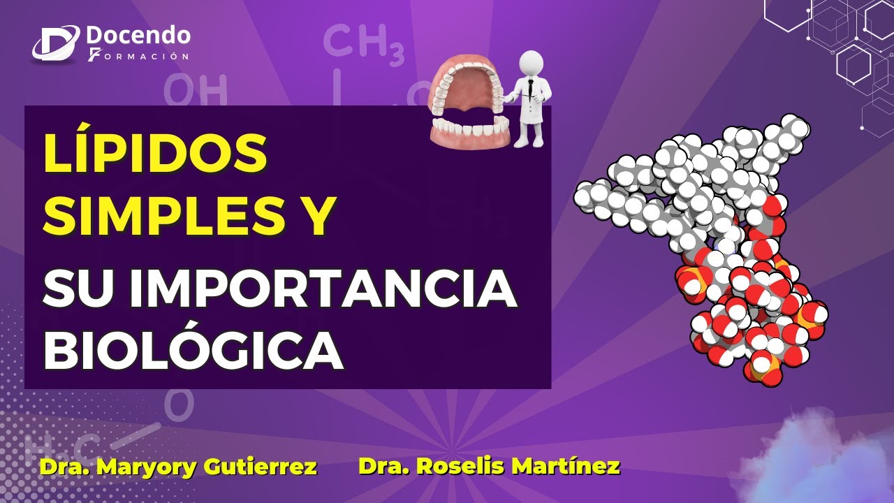 Lípidos Simples y su Importancia Biológica - YouTube