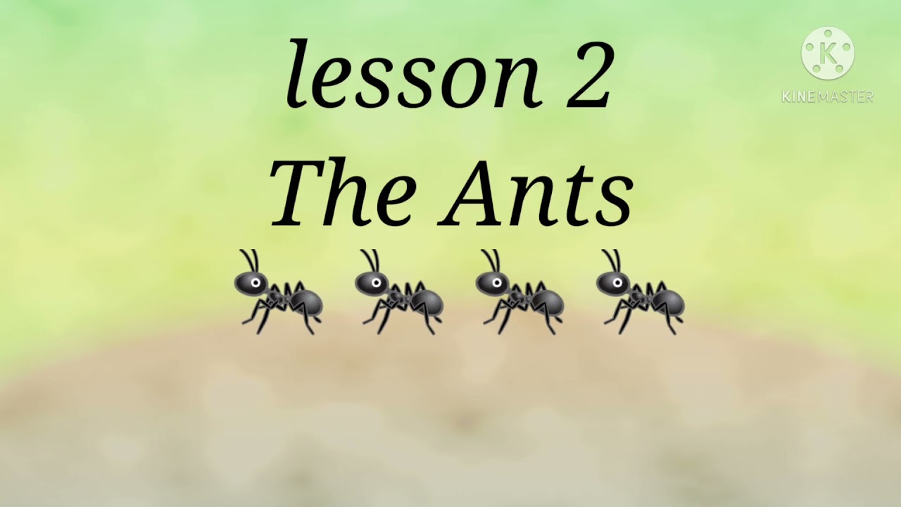 2.The Ants class 4 - YouTube