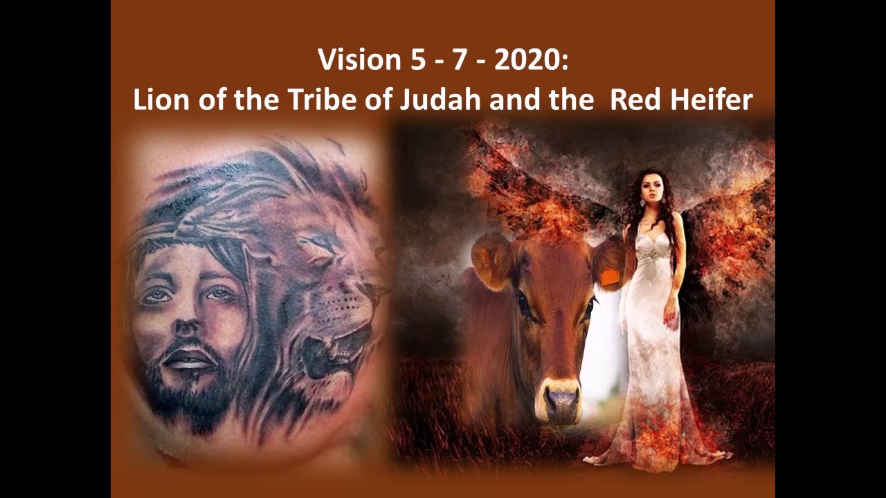 Jesus and the Red Heifer in Heaven – A Vision - YouTube