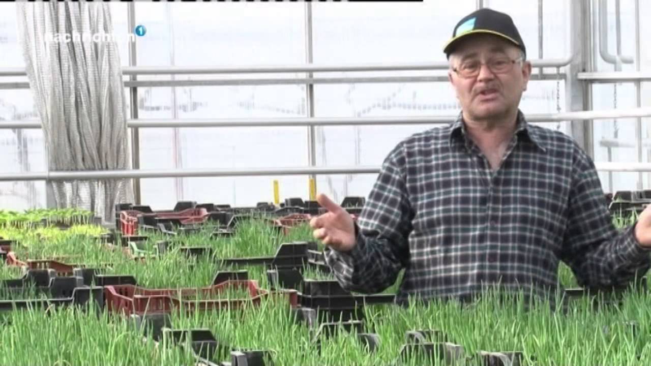 Tele 1 Beitrag Hans Blaser - YouTube