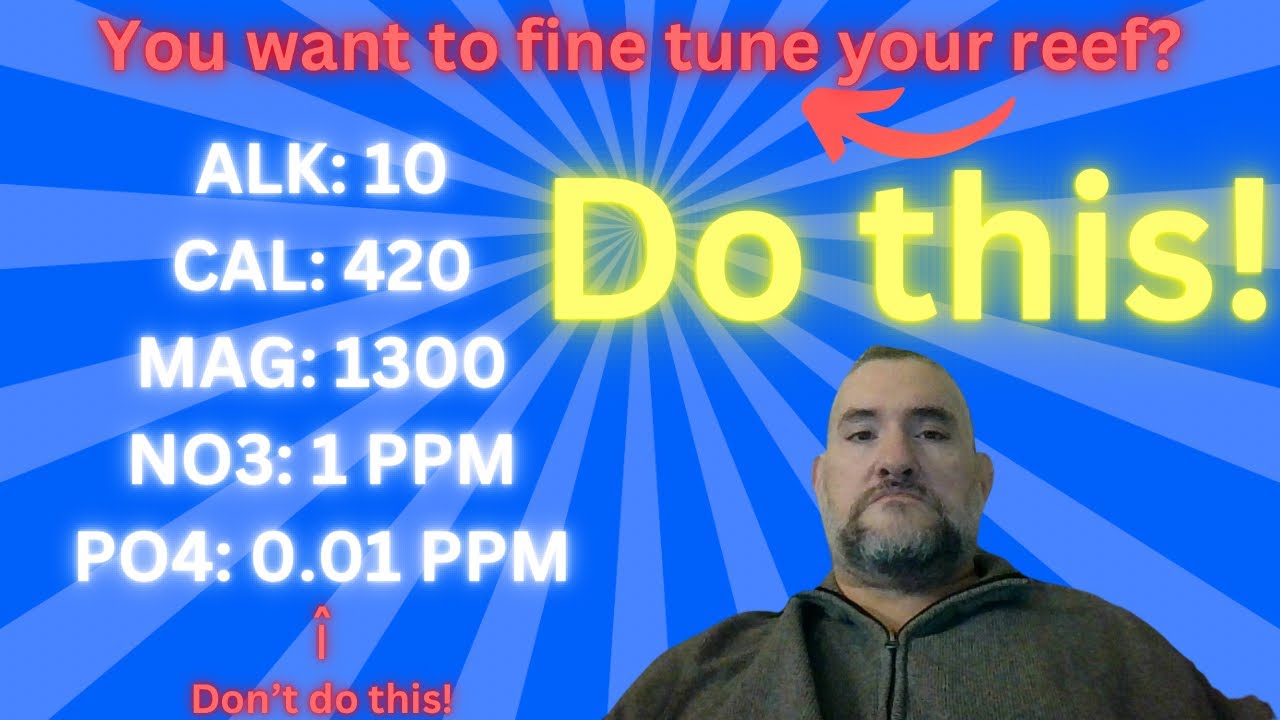 Trying to Streamline your Reef? Do This! - YouTube