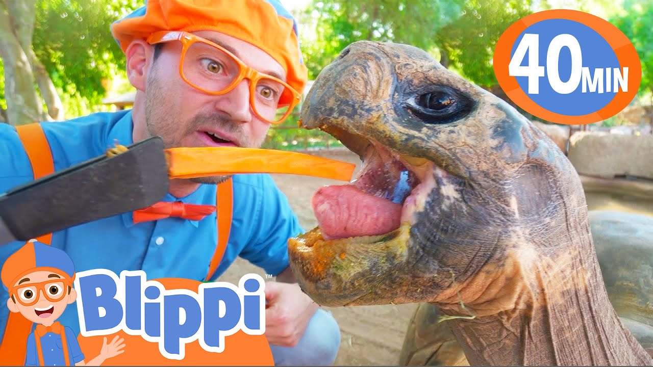 Blippi Visits a Zoo (Phoenix Zoo)! | BEST OF BLIPPI TOYS! | Educational ...