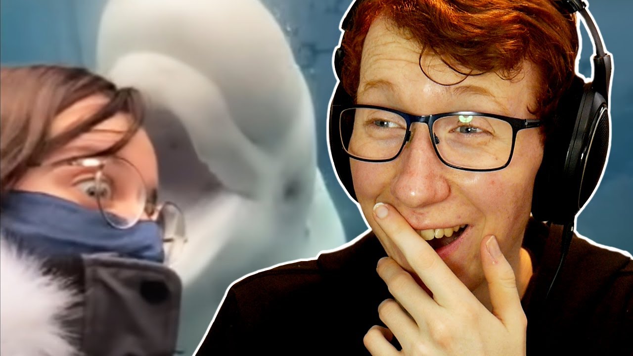 Patterrz Reacts to Daily Dose of Internet 2 - YouTube