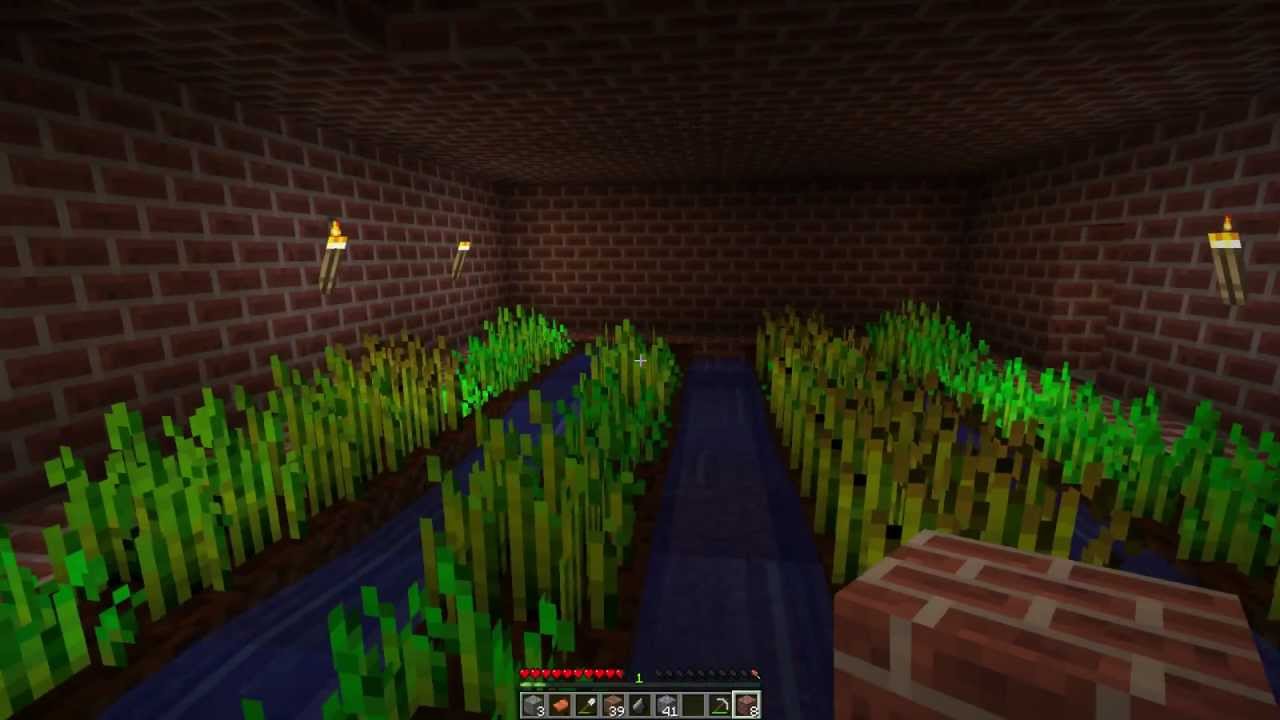 Baha and Jim Play Minecraft Episode 22 - YouTube