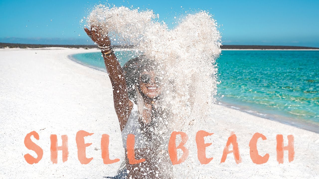 【Western Australia】Shell Beach (road trip best) 西オーストラリア シェルビーチ - YouTube