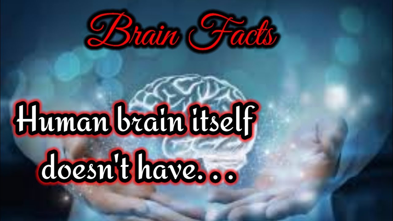 Interesting and mind blowing facts about human brain | Psychological ...