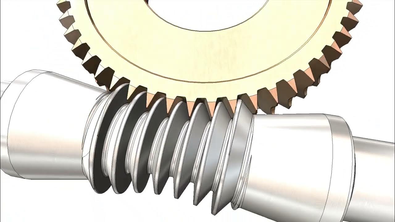 SolidWorks - double enveloping worm gear - YouTube