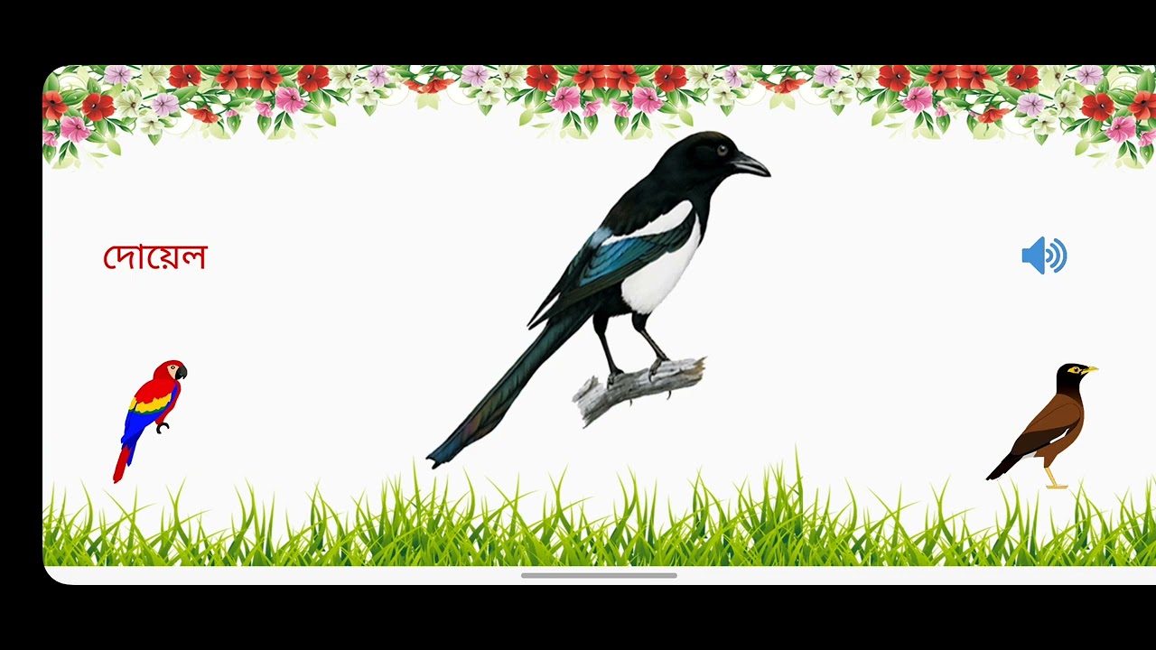Learning the Names of Different Birds from Alphabet Mobile Apps: A Fun ...
