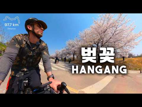 WELCOME BACK TO SOUTH KOREA!! 🇰🇷