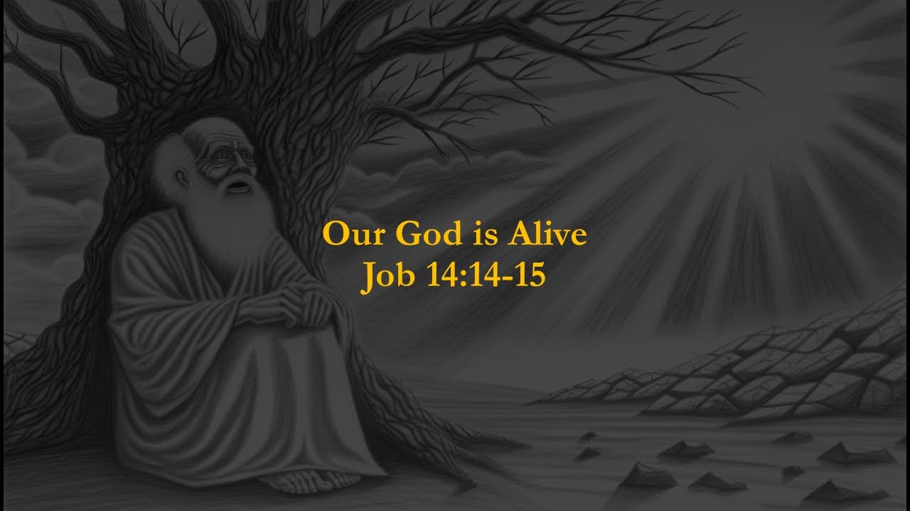 Our God is Alive - Job 14:14-15 - YouTube