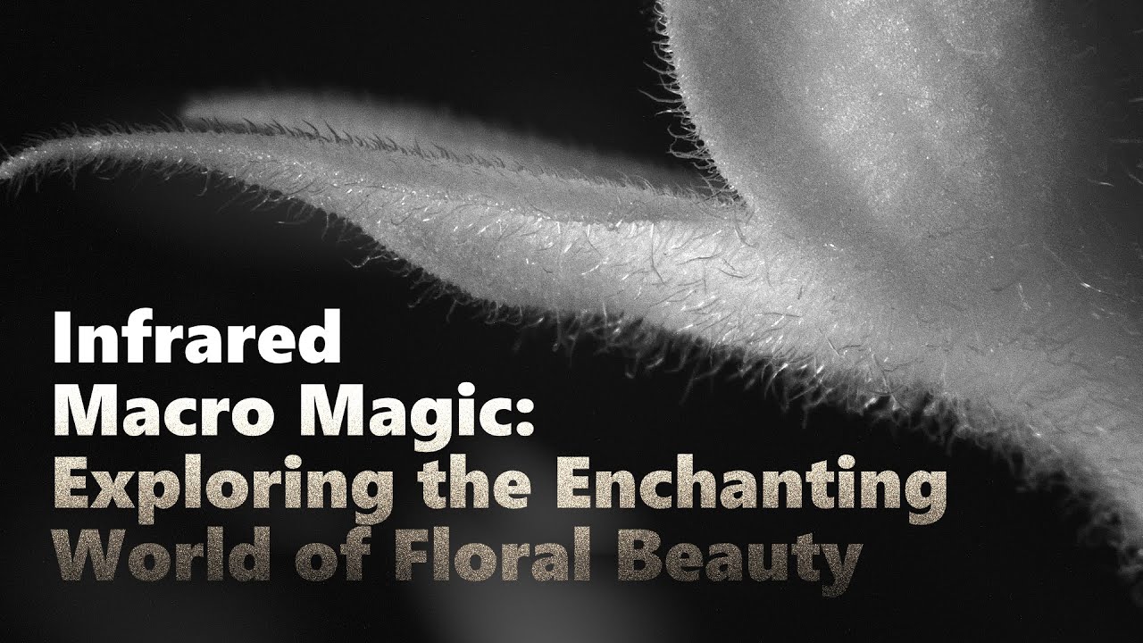 Infrared Macro Magic - YouTube