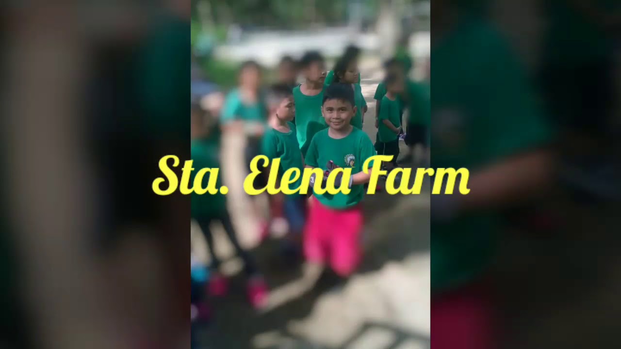THE FUN FARM @ Sta. Elena Cabuyao Laguna - YouTube