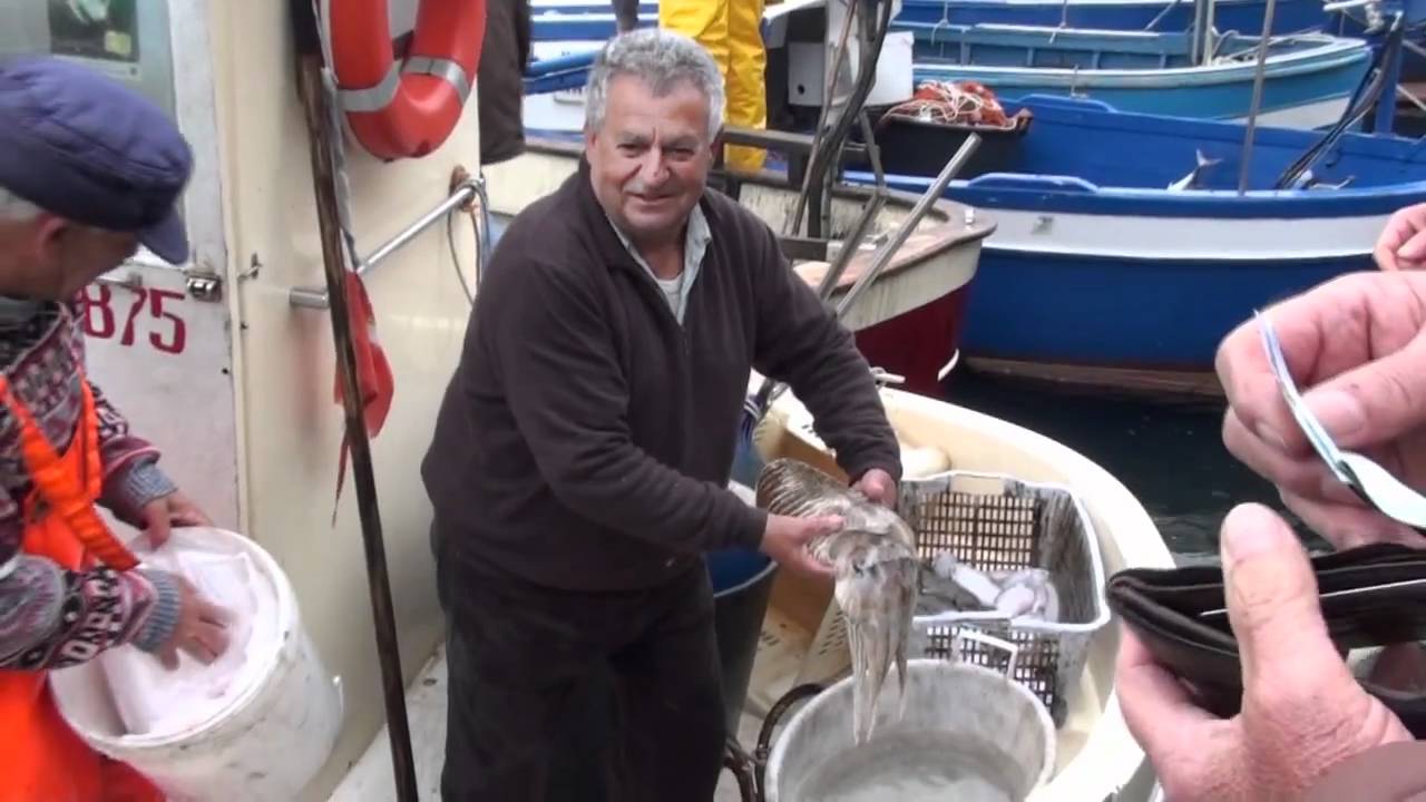 SEPPIA DI 3 KG,ACQUAMORTA MONTE DI PROCIDA HD - YouTube