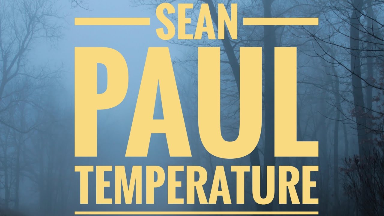 Sean Paul - Temperature (Lyrics) - YouTube