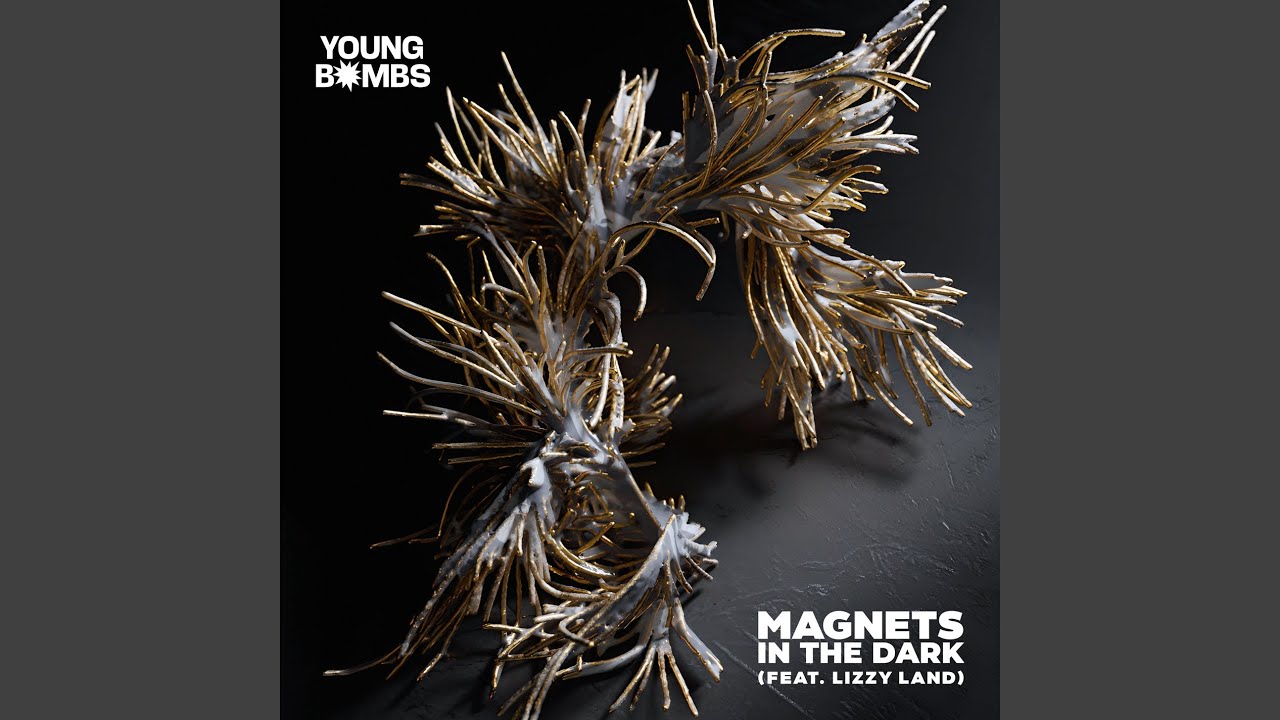 Magnets in the Dark - YouTube