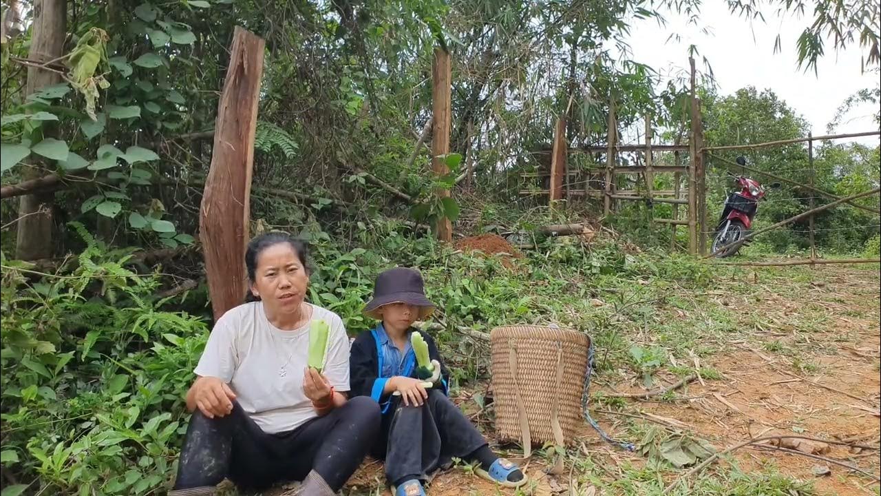 12/6/2023 hnub no rov qa mu khawb qhov ncej dua - YouTube