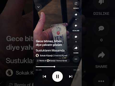 Sustuklarım Masamda 