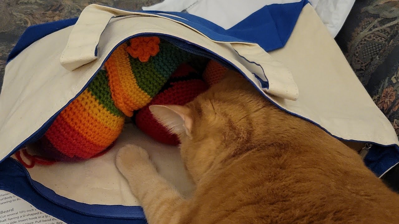 I bought and it arrived, yippee mail - YouTube