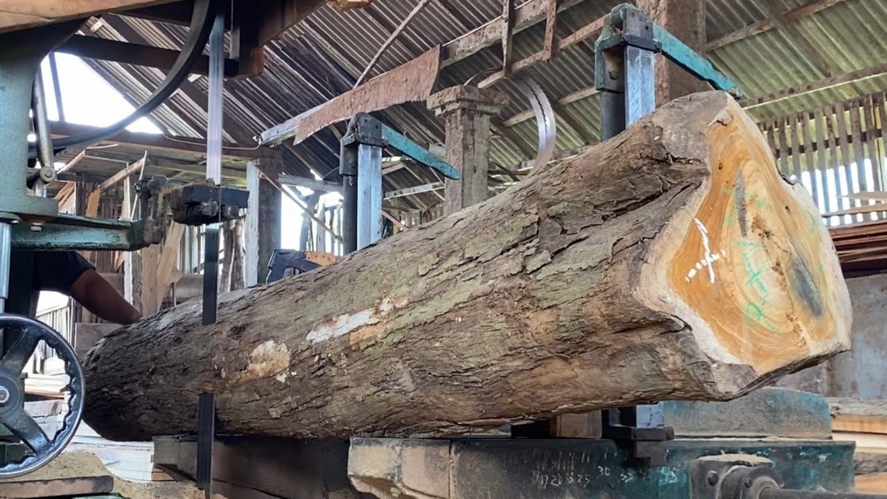 The process of sawing teak wood using a bandsaw machine in a wood ...