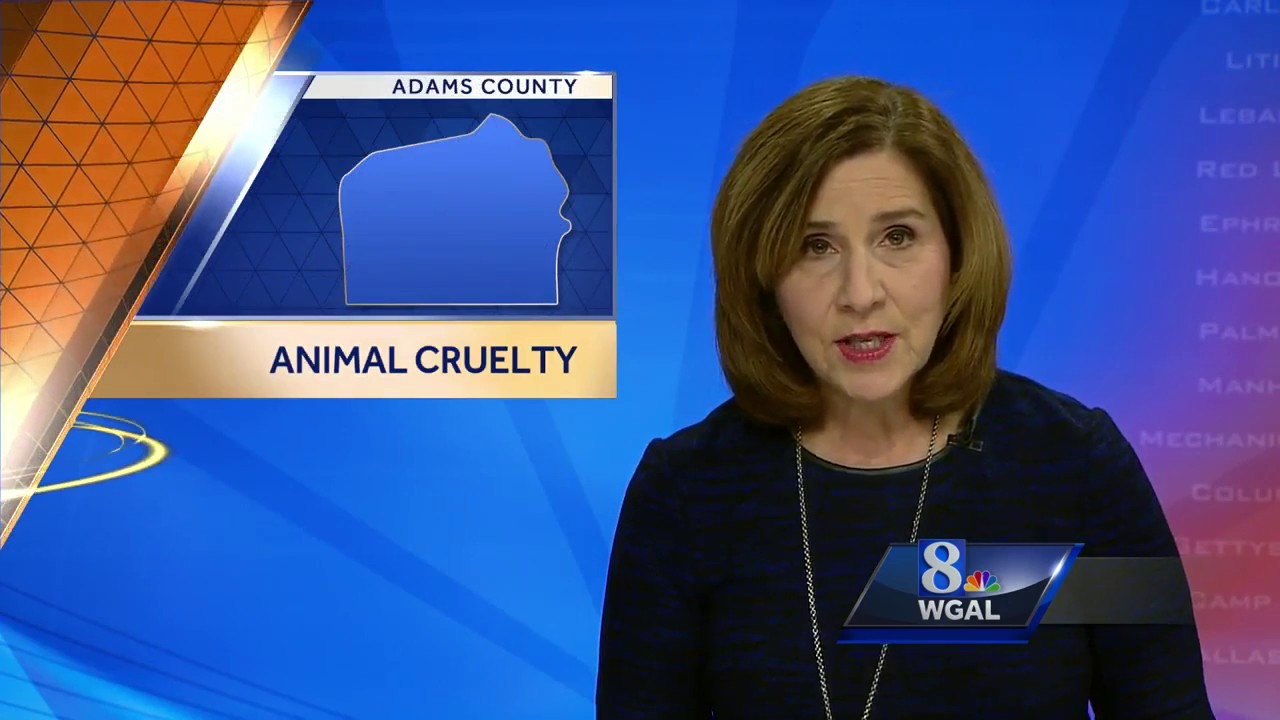 Adams County woman gets 1-week in prison, probation in animal cruelty ...