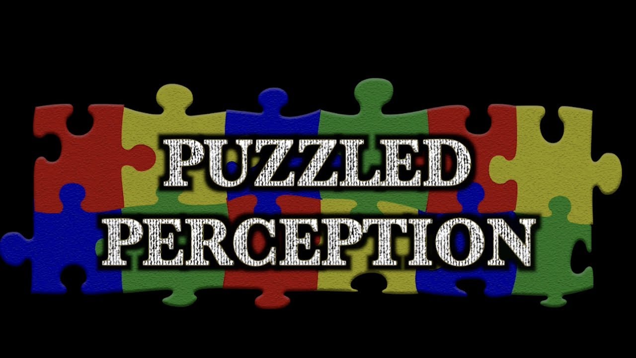 Puzzled Perception - YouTube