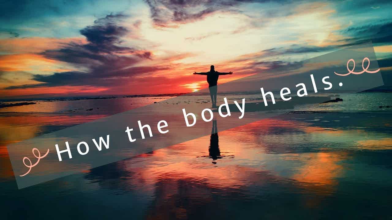 How the body heals. - YouTube