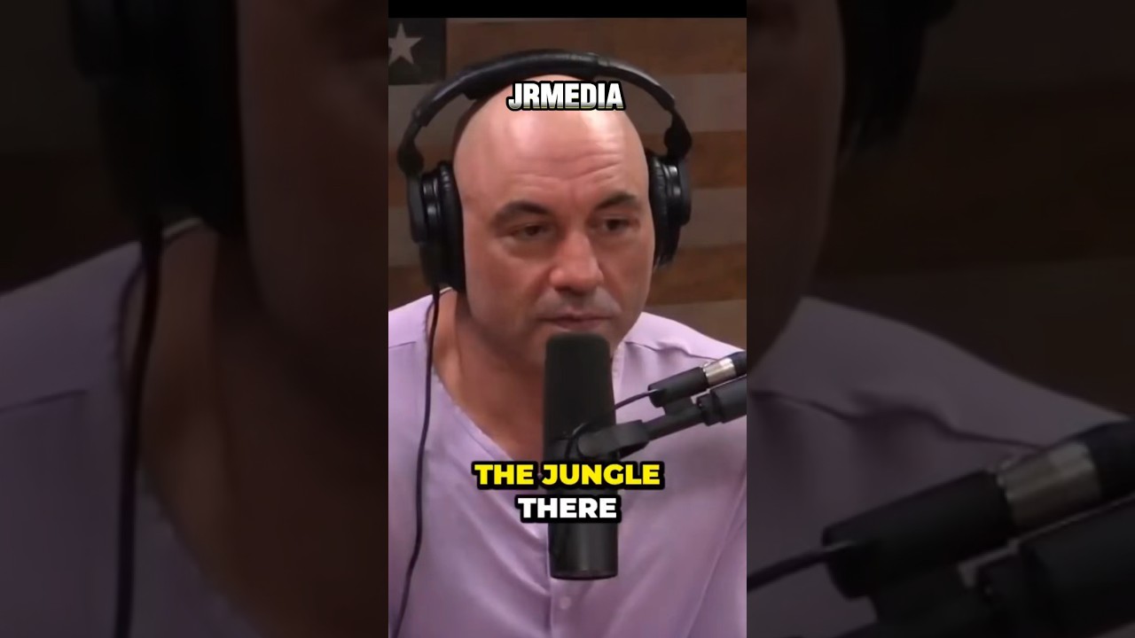 No Human Contact For 60 Years?😳 #joerogan #mystery #amazon - YouTube