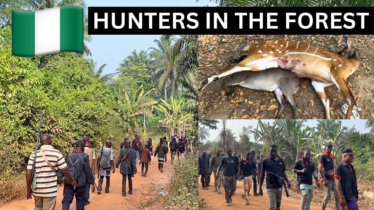 OYO STATE HUNTERS HUNTING FOR BUSH MEAT | The Biggest Gathering of ...