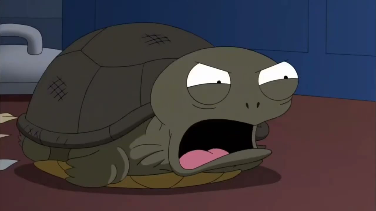 Stewie vs Evil Turtle - YouTube