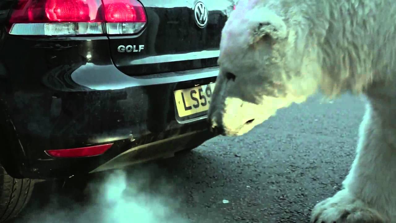 A Homeless Polar Bear - Strange new ad by Greenpeace - YouTube