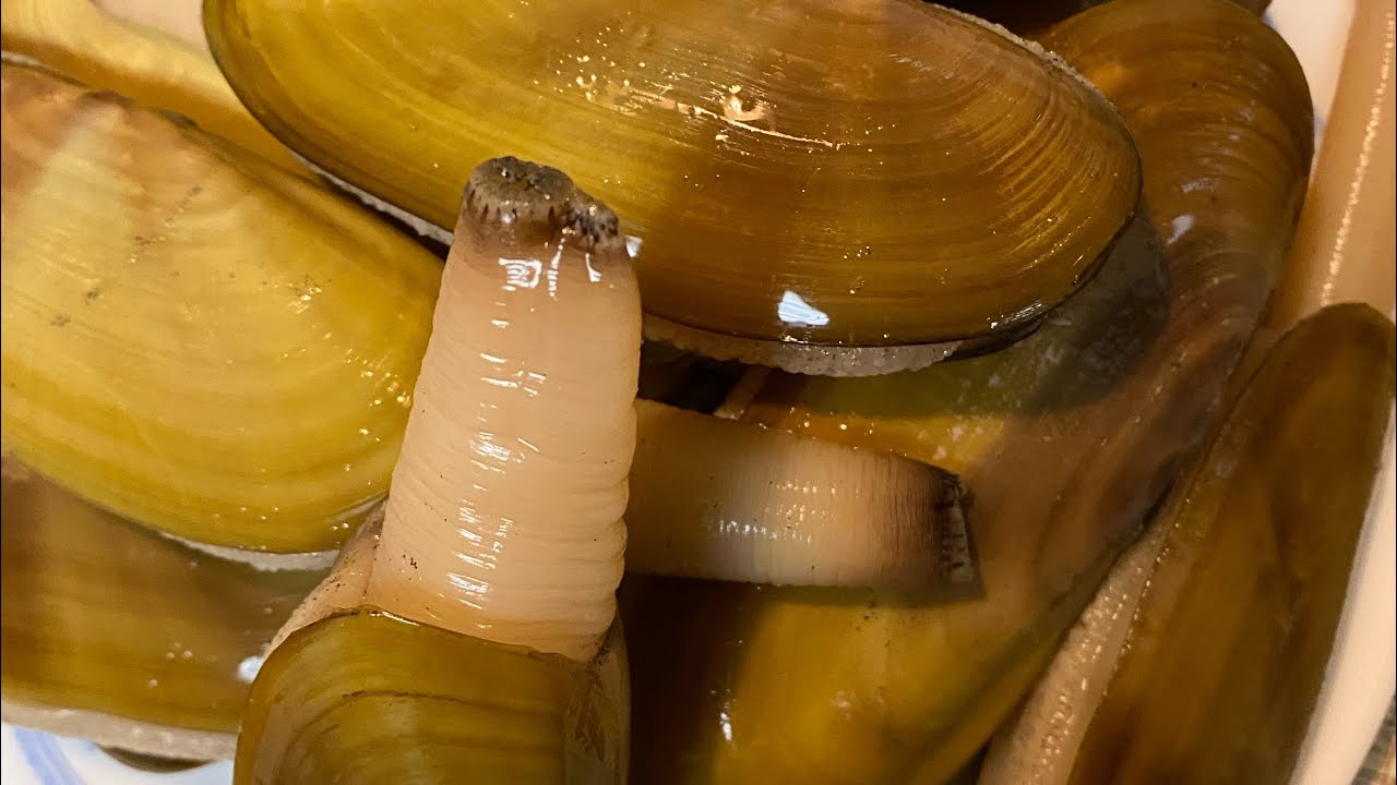 🔥First Razor Clam Dig 2023 - YouTube