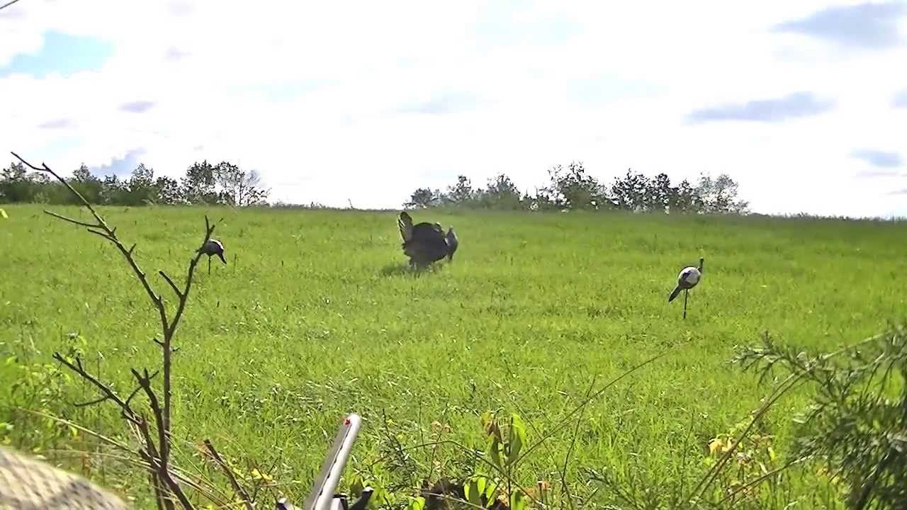 Fast Strike Blind in Action - Spring turkey hunt 2012 - YouTube