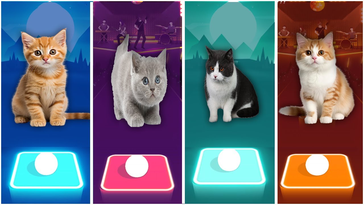 CUTE CAT SONGS | JISOO FLOWER | SHAKIRA WAKA WAKA | BLACKPINK LISA MONEY | DANCE MONKEY - YouTube